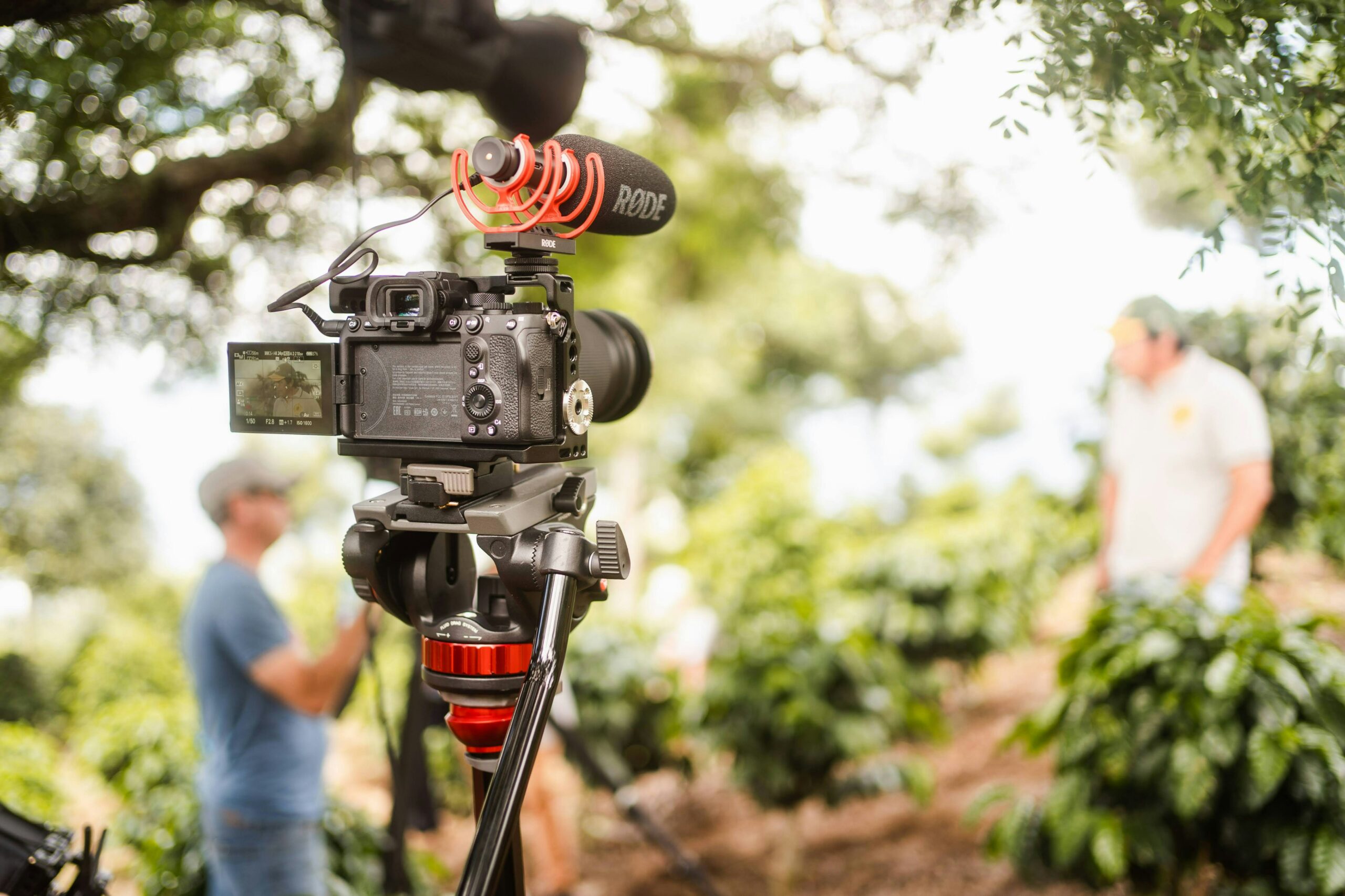 Bad Publicity, Real Consequences: Debunking the Myth That All Press is ...